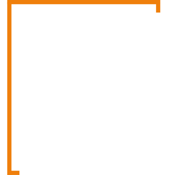 Netro Networks
